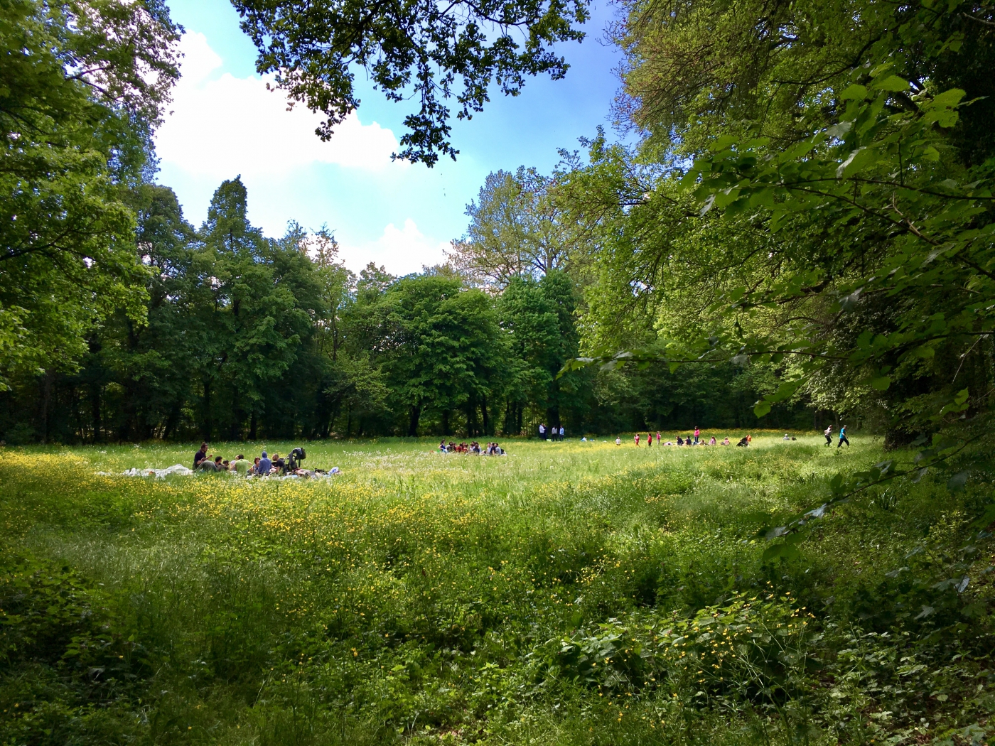 Romantic park in Italy, private parks in Veneto, Padua natural park ...